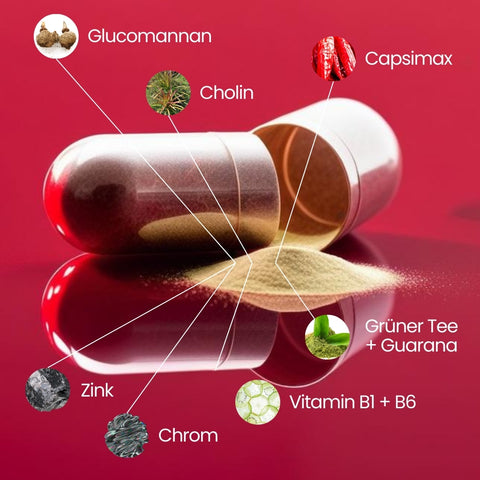 shape labs ONE - All-in-One Abnehm-Kapseln – Shape Labs